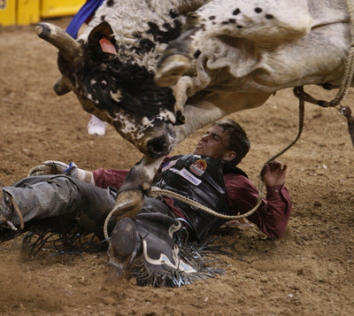 Buckle Up: It’s Gonna Be a Wild Ride | Las Vegas Review-Journal