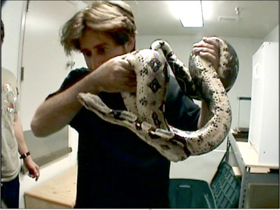 Hissssy fit (Snake Handler) | Life