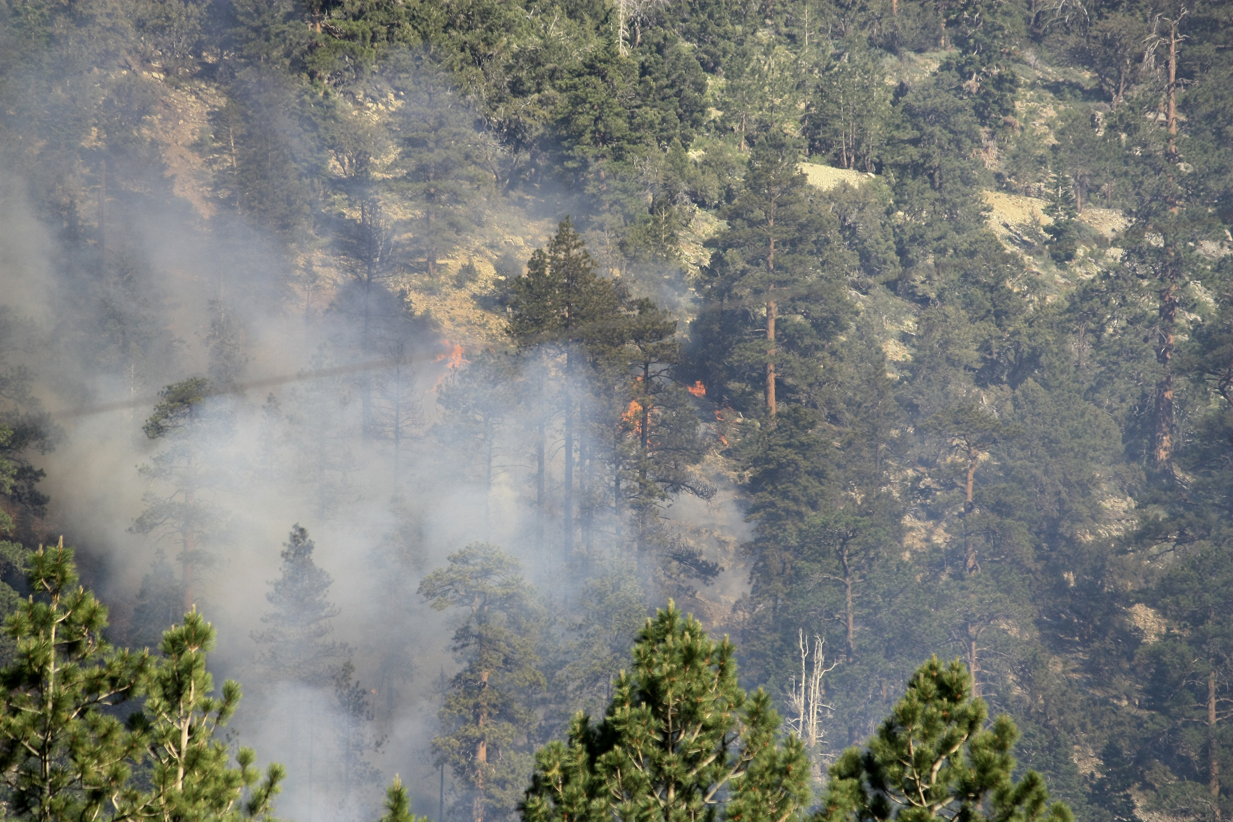 Mount Charleston fire forces evacuations, burns 10 acres of forest land ...