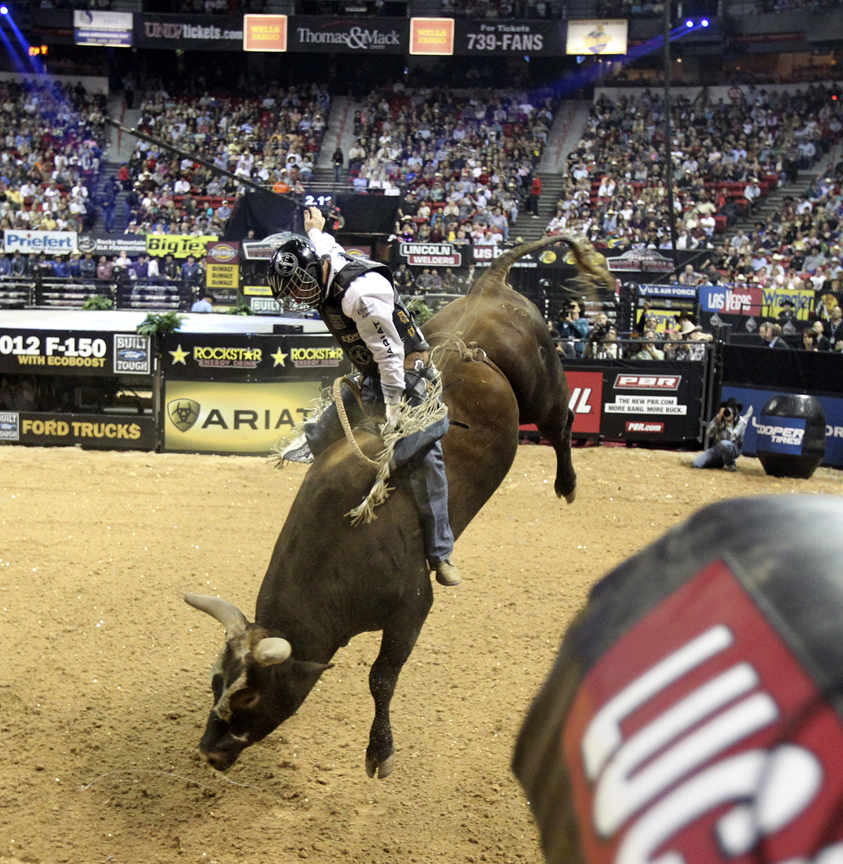 Bushwacker featured at PBR World Finals | Las Vegas Review-Journal