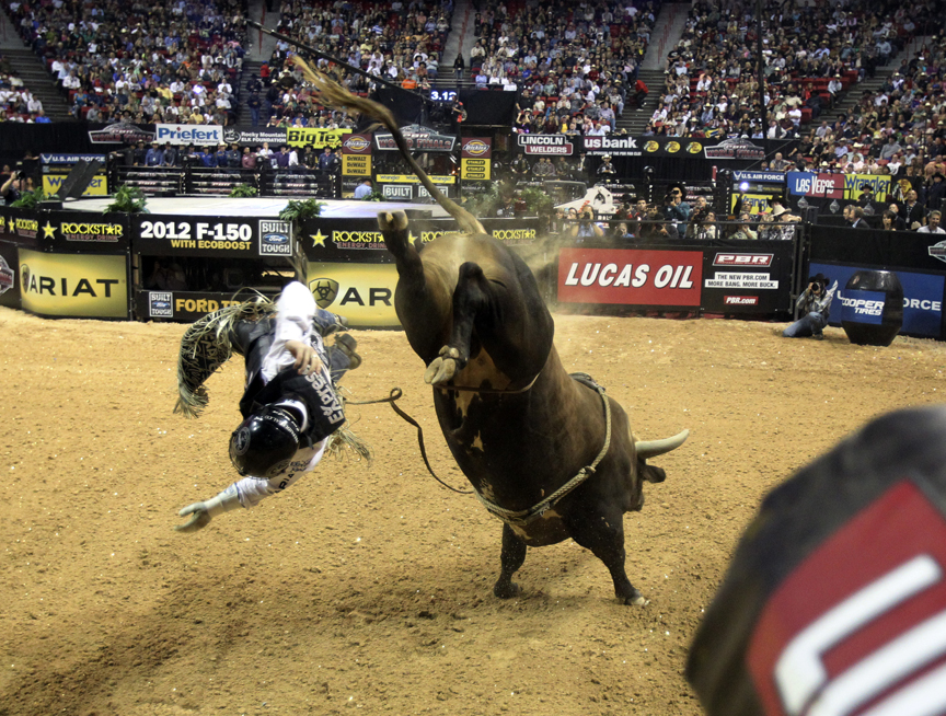 Bushwacker featured at PBR World Finals | Las Vegas Review-Journal