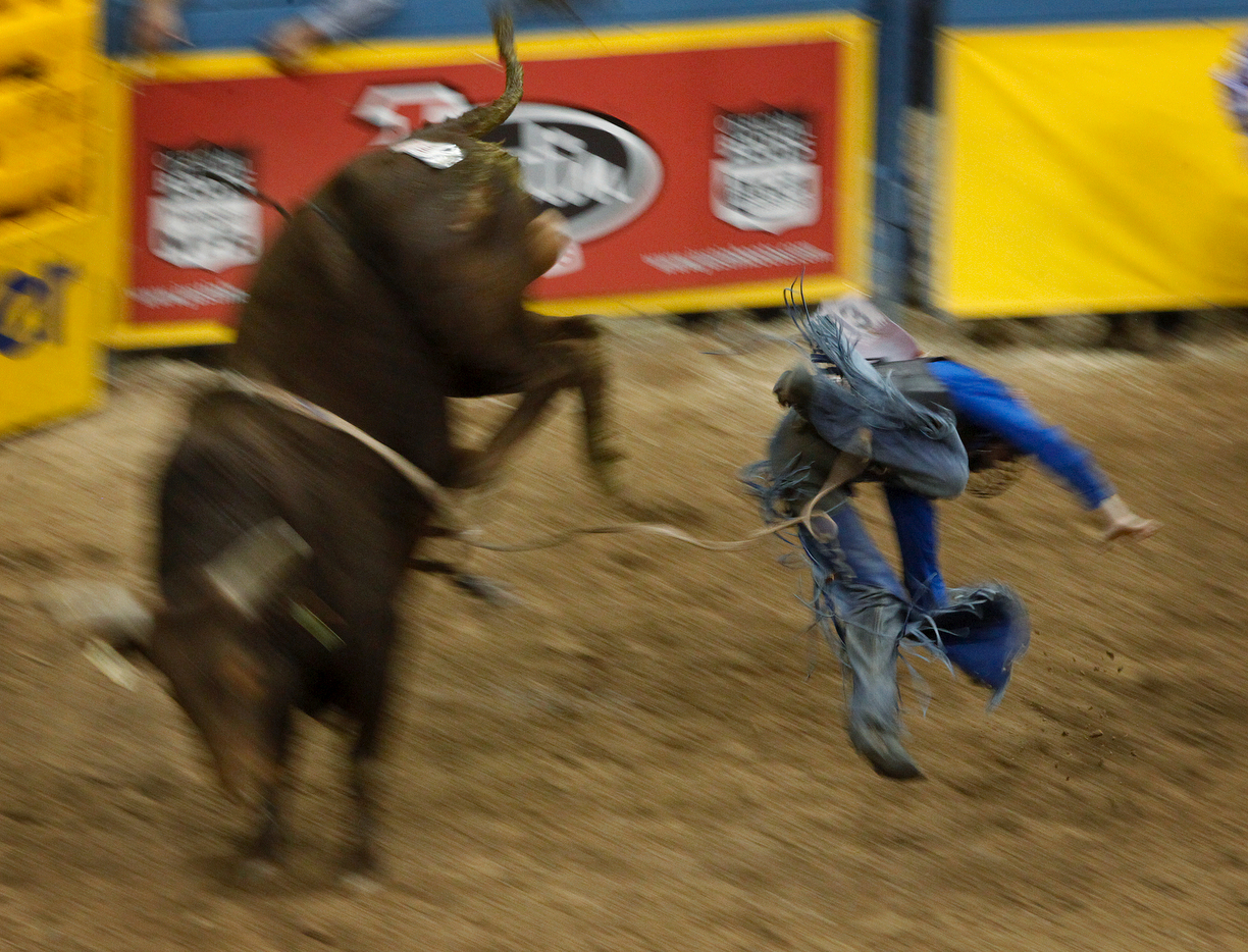 Sam Willis Rodeo