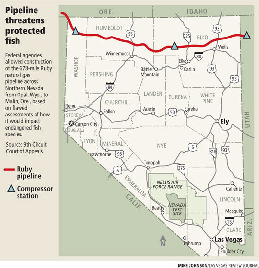 Ruby natural gas pipeline may endanger protected fish species | News
