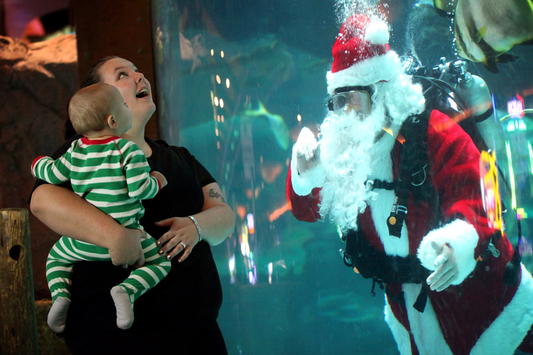 Underwater Santa | Las Vegas Review-Journal