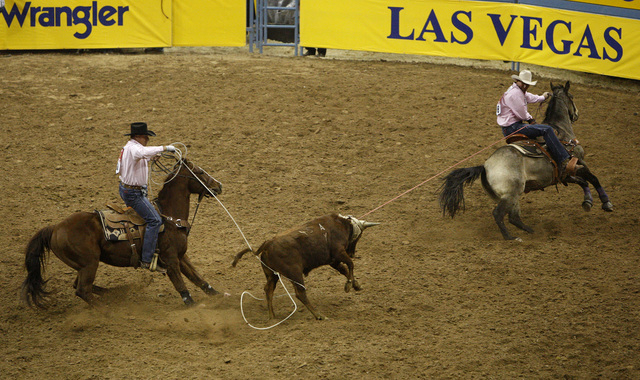 O’Brien Cooper an old hat when it comes to team roping | National ...