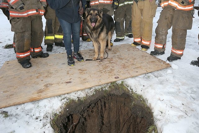 100-pound dog swallowed by 10-foot deep sinkhole | Life