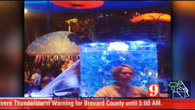 Video shows giant fish tank burst open at Disney restaurant | News