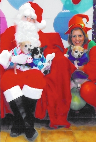 Reader-submitted photos and adoptable pets, March 4-10 | Las Vegas ...