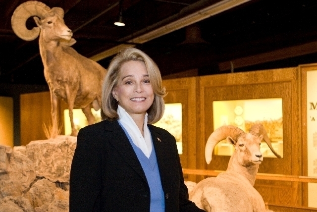 Stubborn Sue just won’t let go of bartering | Las Vegas Review-Journal