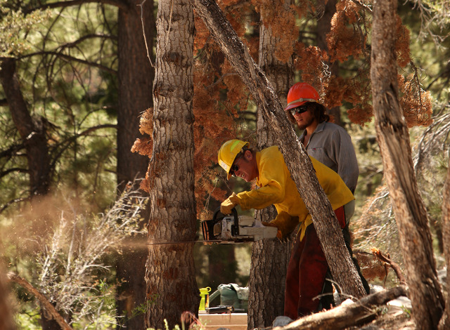 Carpenter 1 fire a year later: Another fire season has arrived | News