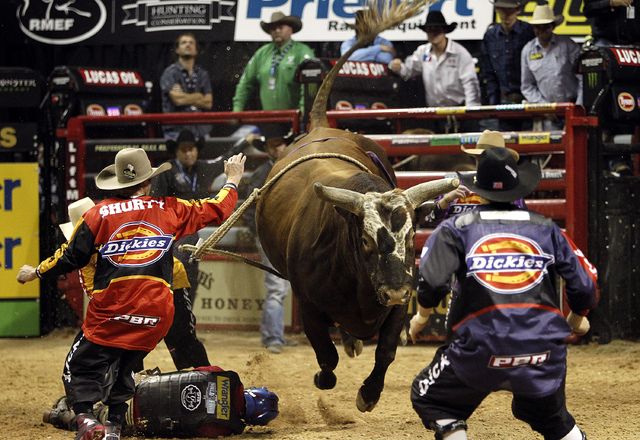 Nearly unrideable Bushwacker becomes three-time champion | Professional ...