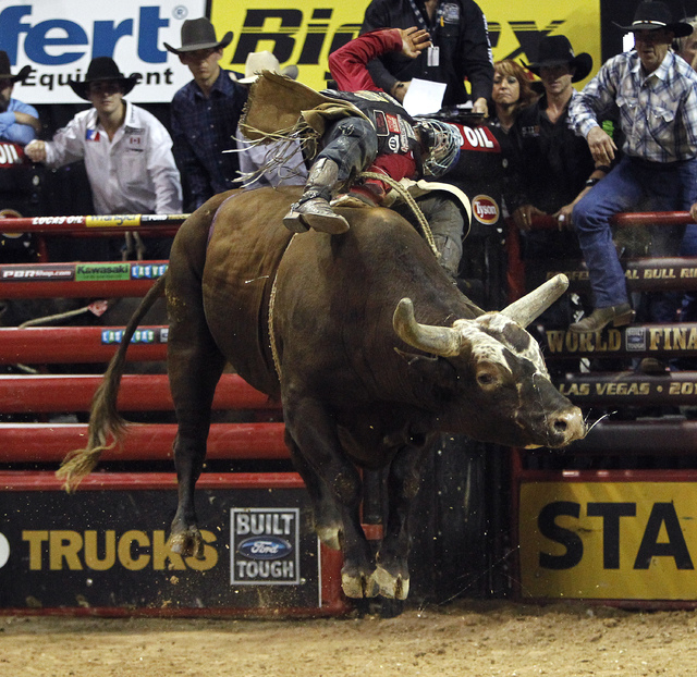 Nearly unrideable Bushwacker becomes three-time champion | Professional ...