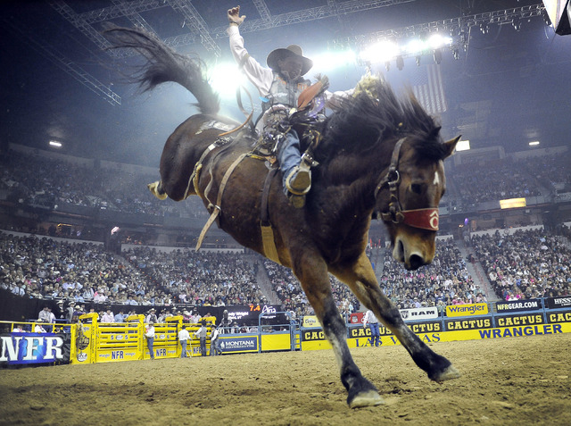 Utah brothers have fourth saddle bronc rider competing at NFR | Las ...