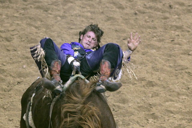 Rodeo’s most-decorated pro, Trevor Brazile, can appreciate the journey ...