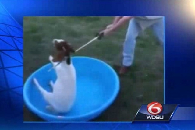 Louisiana SPCA investigating second goat beheading video | Uncategorized