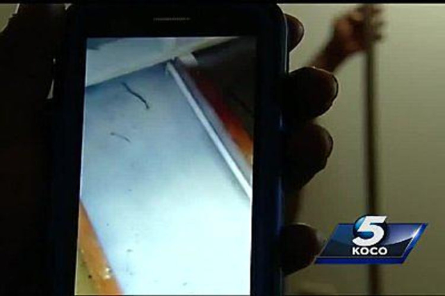 Bleeding walls lead to discovery of dead neighbor — VIDEO | Uncategorized