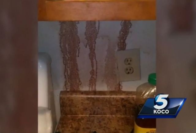 Bleeding walls lead to discovery of dead neighbor — VIDEO | Las Vegas ...