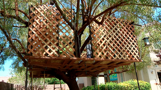 Grandfather’s hanging treehouse a ‘labor of love’ | Life