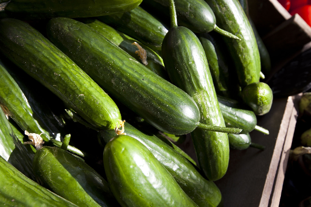 4 Southern Nevada salmonella cases linked to imported cucumbers ...