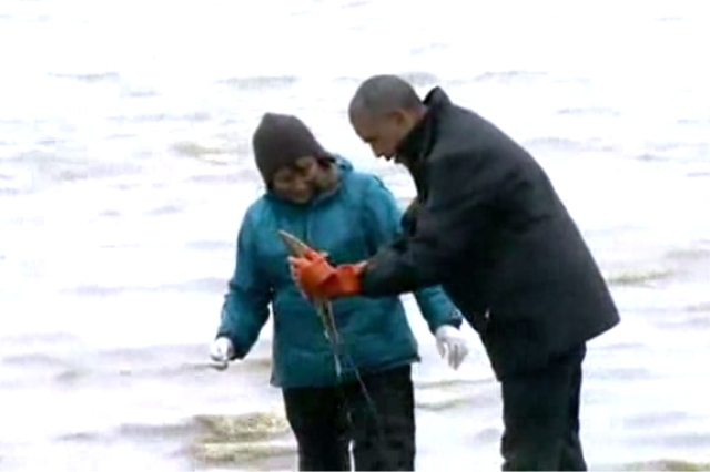 Fish spawns on Obama’s shoes — VIDEO | Uncategorized
