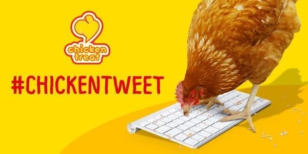 Australian chicken attempts to set Twitter record | Uncategorized
