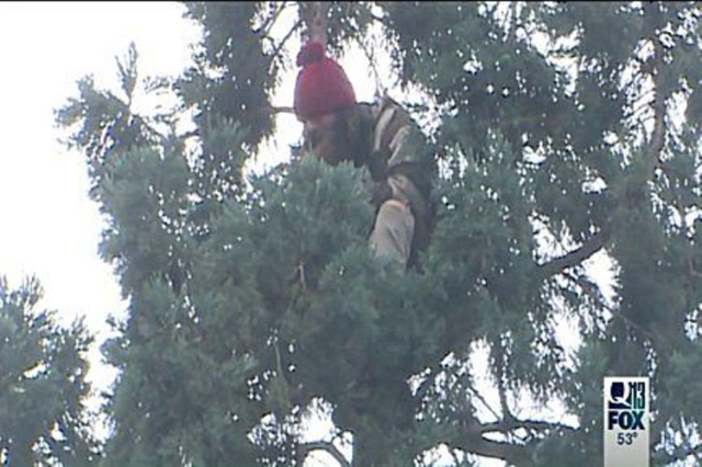 Police trying to coax man out of 80-foot tall tree in downtown Seattle ...