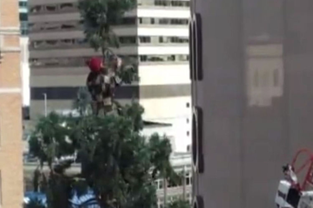 Bail set at $50K for man who stayed in Seattle tree for 25 hours ...