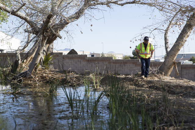 North Las Vegas gears up for Kiel Ranch debut | Life