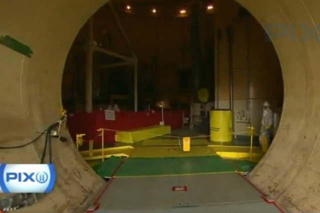 Bird poop blamed for nuclear power plant shutdown | Uncategorized