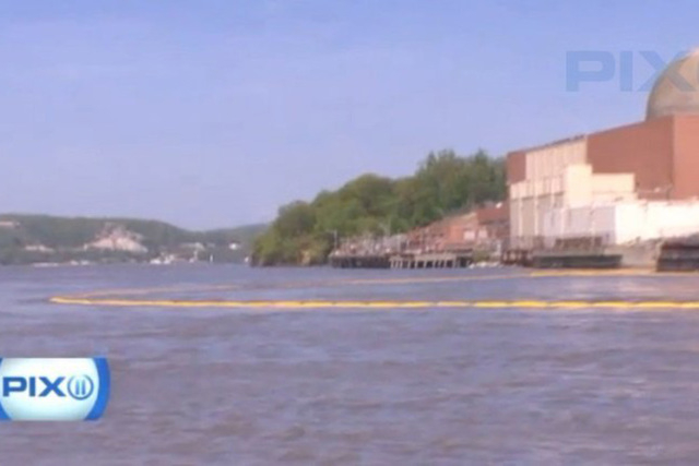 Bird poop blamed for nuclear power plant shutdown | Uncategorized