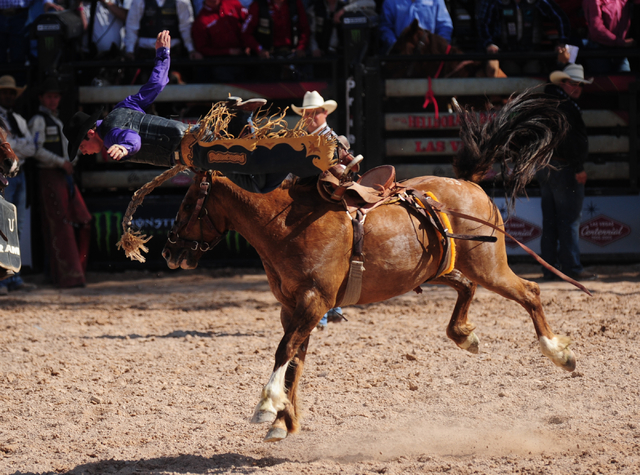 Mexican bull rider Jorge Valdiviezo quickly rises to PBR fan favorite ...