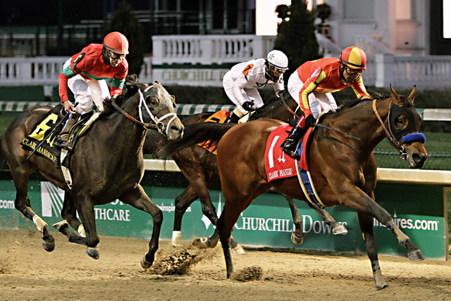 Older handicap horses bring real fun to horse racing | Las Vegas Review ...