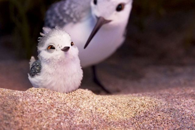 Pixar’s adorable short ‘Piper’ becomes an immediate hit | Entertainment