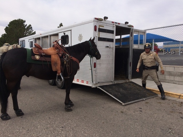 Metro Officer Tim Ruiz prepares to put his horse, Morgan, a 15-year-old ...