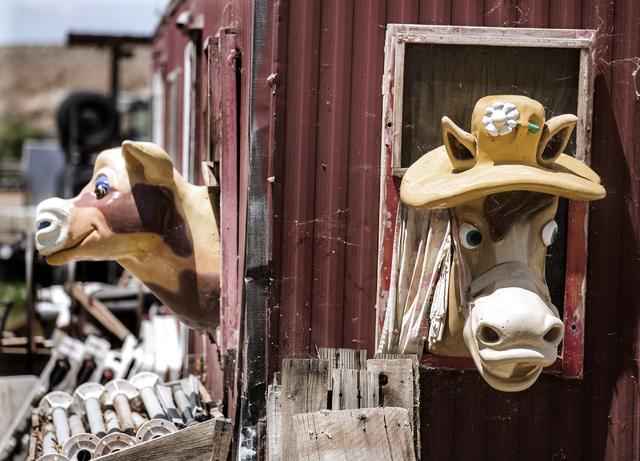 It’s business as usual back home on Bundy range | Bundy-BLM | News