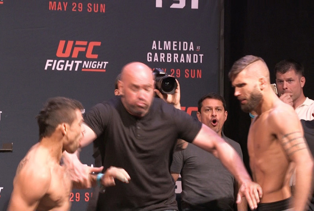 Longtime UFC executive Sean Shelby promoted to replace retiring ...