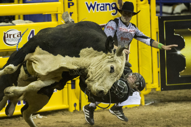 2016 National Finals Rodeo first go-round results | National Finals ...