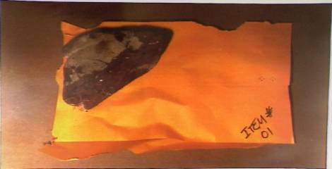 Friend says Righetti asked for help after killing Las Vegas teen ...