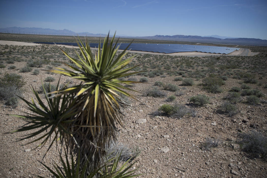 Ceremony celebrates Moapa solar project in Southern Nevada | Las Vegas ...