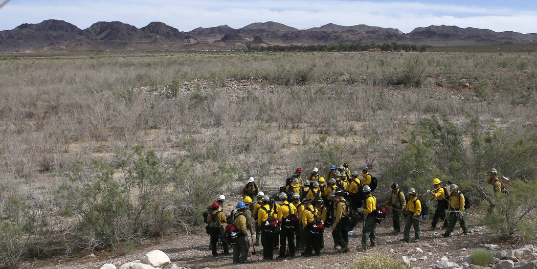 Recruits take part in fire rookie school — PHOTOS | Las Vegas Review ...