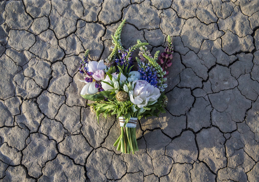 Flora Pop brings pop-up weddings to Las Vegas desert — PHOTOS – Las ...