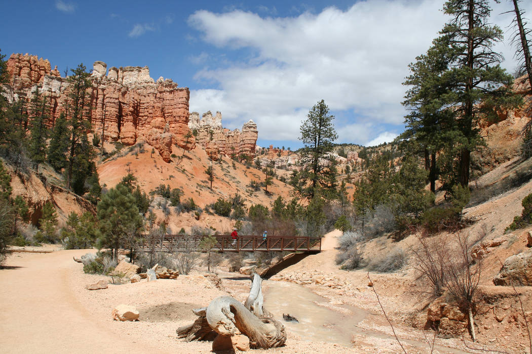 Deborah Wall: Here’s how to enjoy best of Bryce Canyon in summer ...
