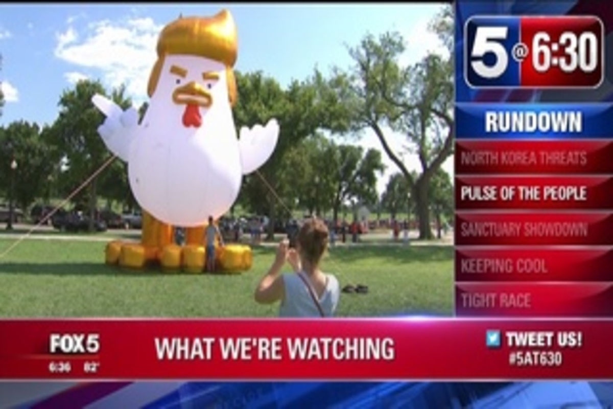 Documentary maker posts inflatable Trump chicken near White House ...