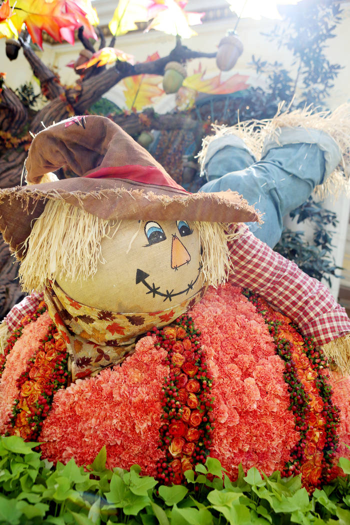 Bellagio Conservatory debuts fall display — VIDEO | The Strip | Local