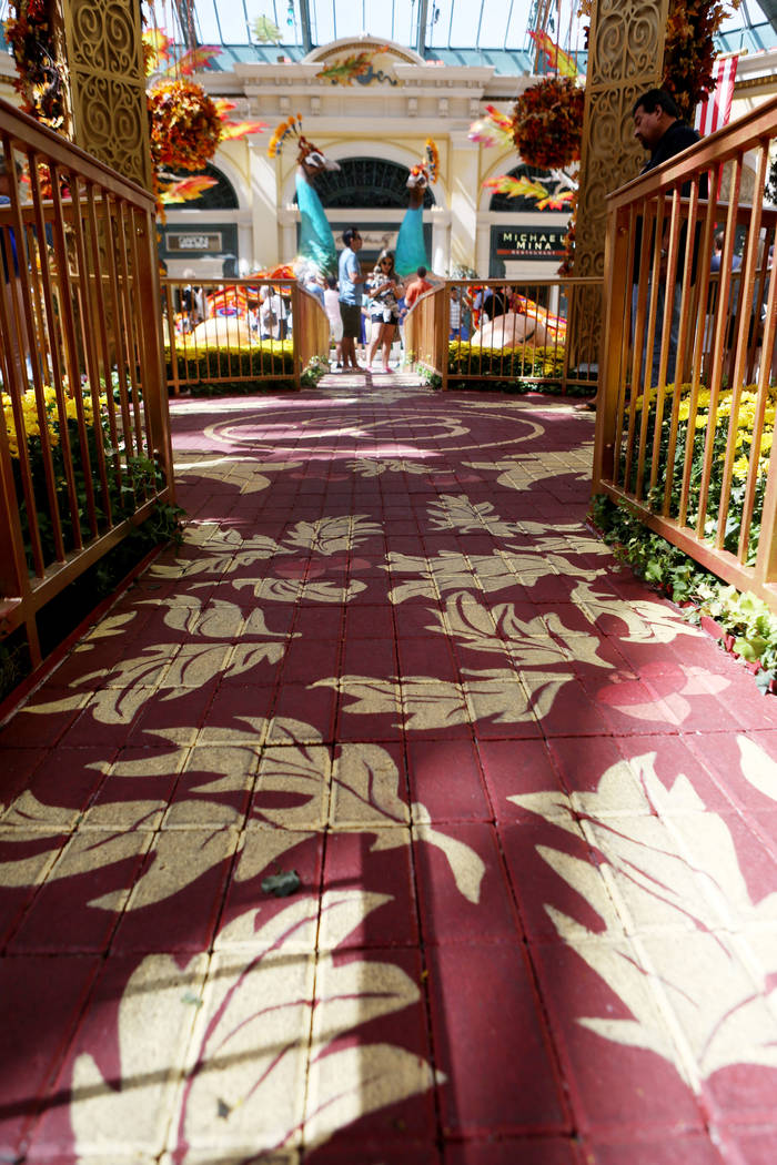 Bellagio Conservatory debuts fall display — VIDEO | The Strip | Local