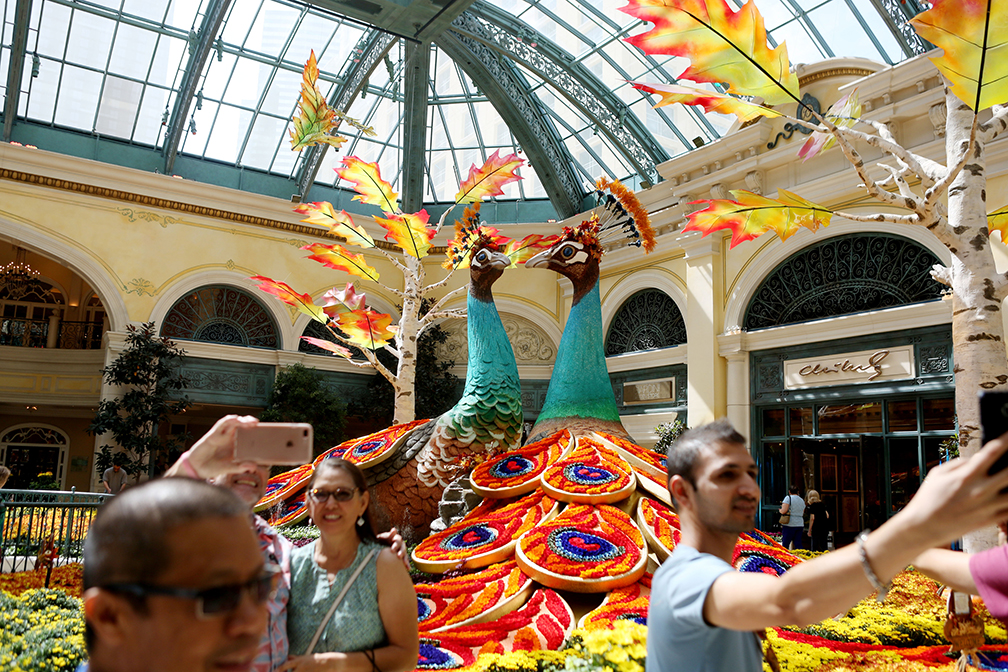 Bellagio Conservatory debuts fall display — VIDEO | The Strip | Local