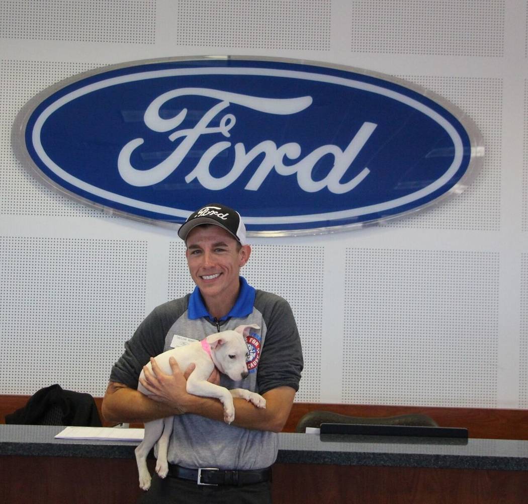 Friendly Ford manager finds friend at Paws for the Cause | Dealer News ...