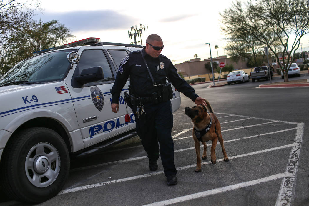 Meet Storm North Las Vegas Police Departments Newest Recruit Las