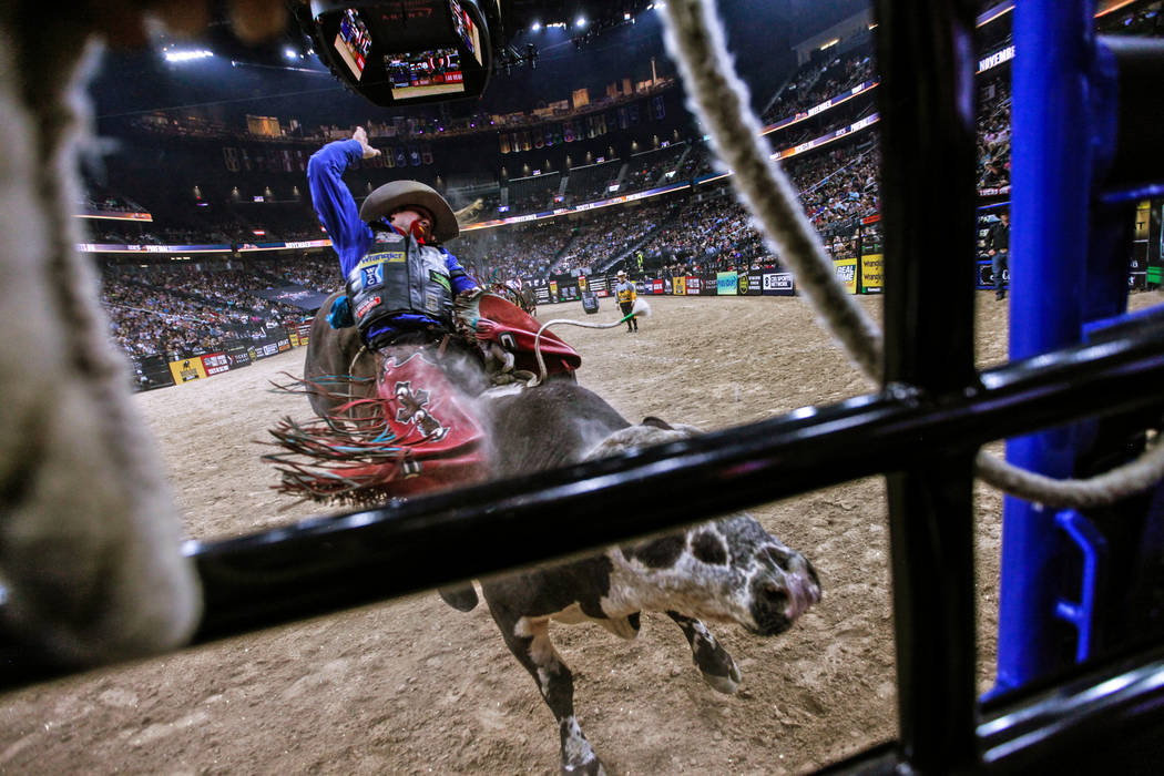 SweetPro’s Bruiser, Pearl Harbor battle for bull supremacy at PBR World ...