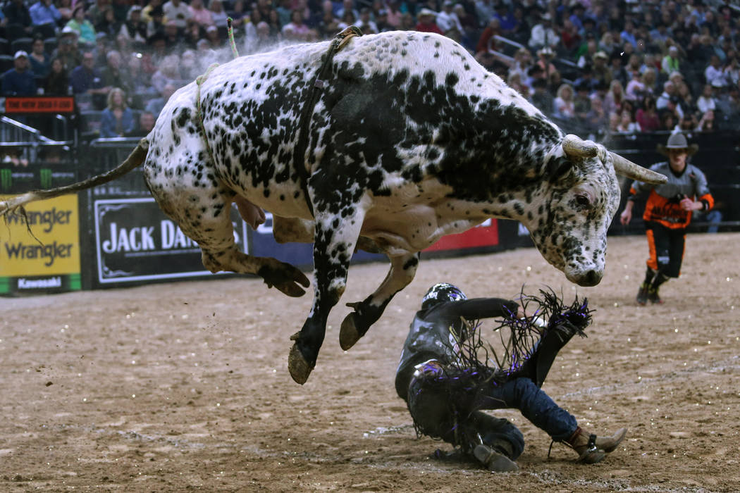 SweetPro’s Bruiser, Pearl Harbor battle for bull supremacy at PBR World ...
